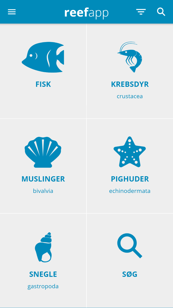 Download Reef App on Google Play or App Store